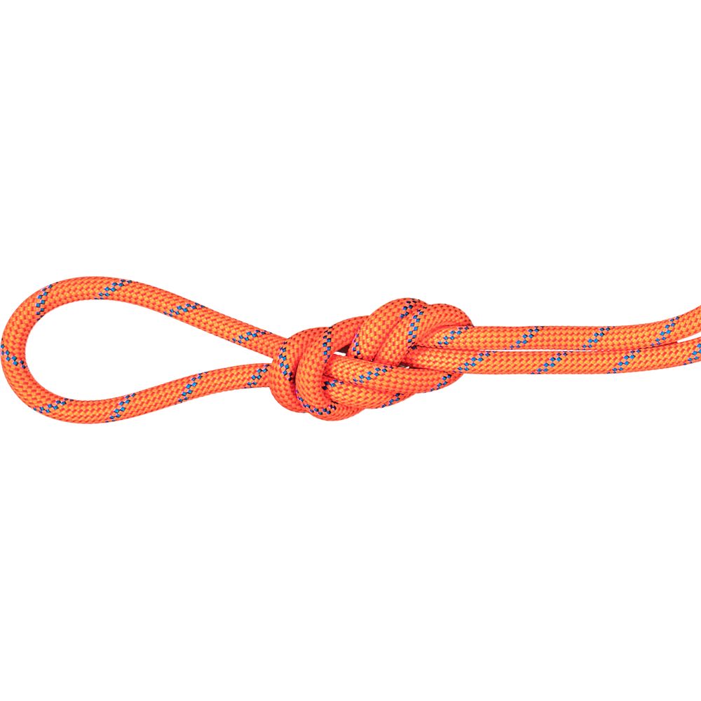 Mammut 75 Alpine Sender Dry Rope 60m Kletterseil fire blue – Sport ...